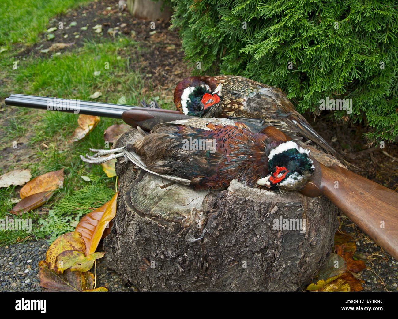 Bounty hunting hi-res stock photography and images - Alamy