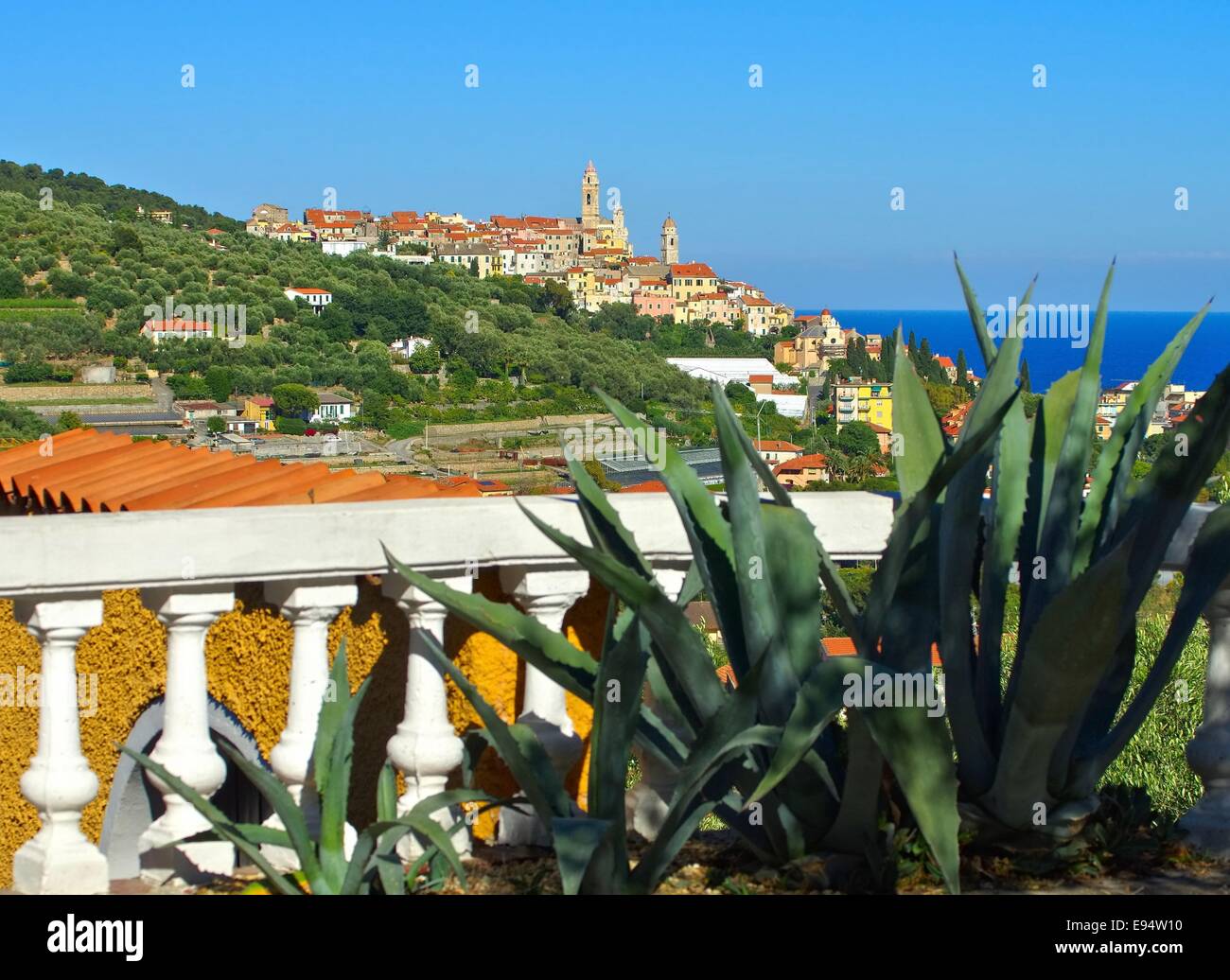 Cervo hi-res stock photography and images - Alamy