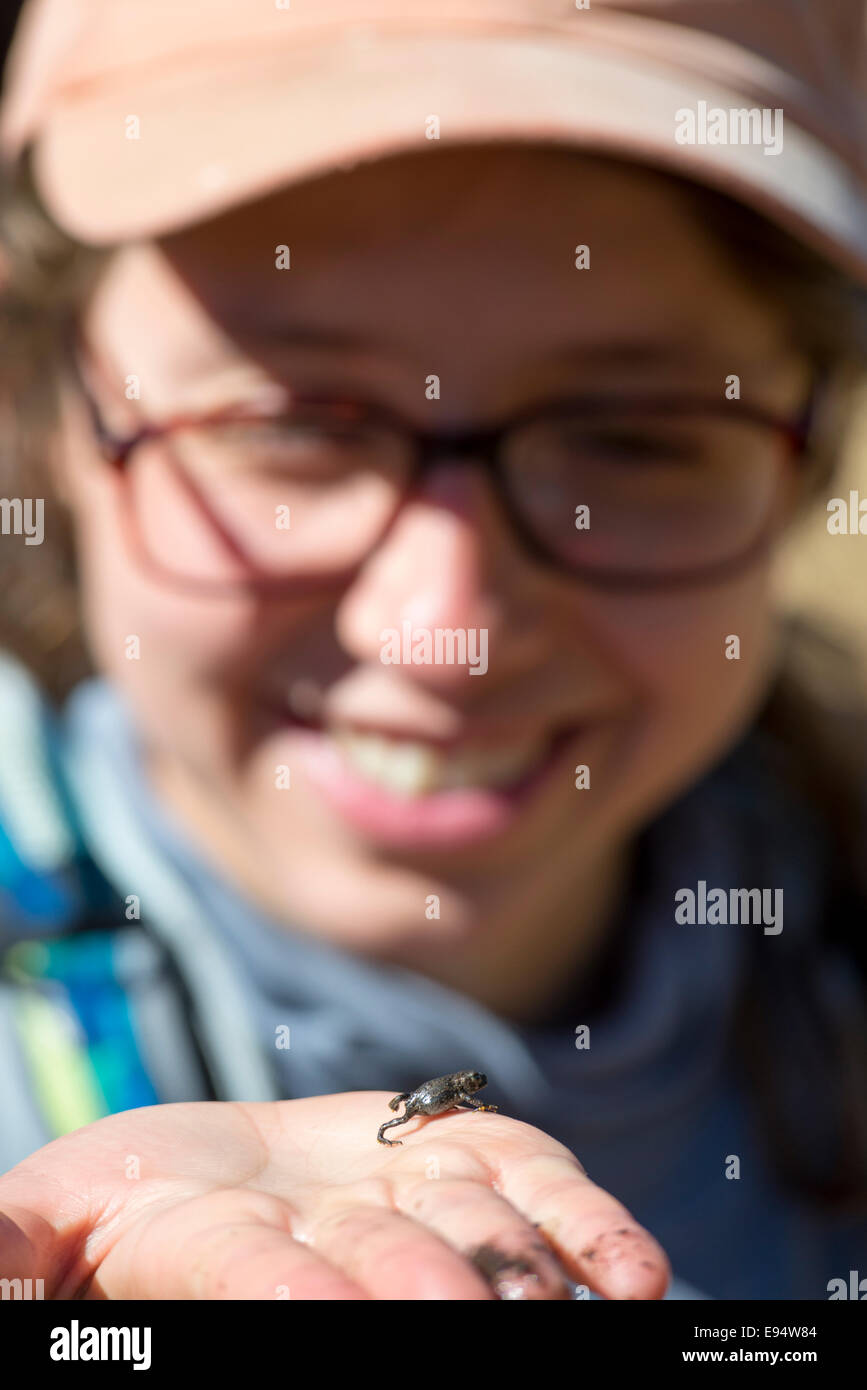 Frog holding hands hi-res stock photography and images - Alamy