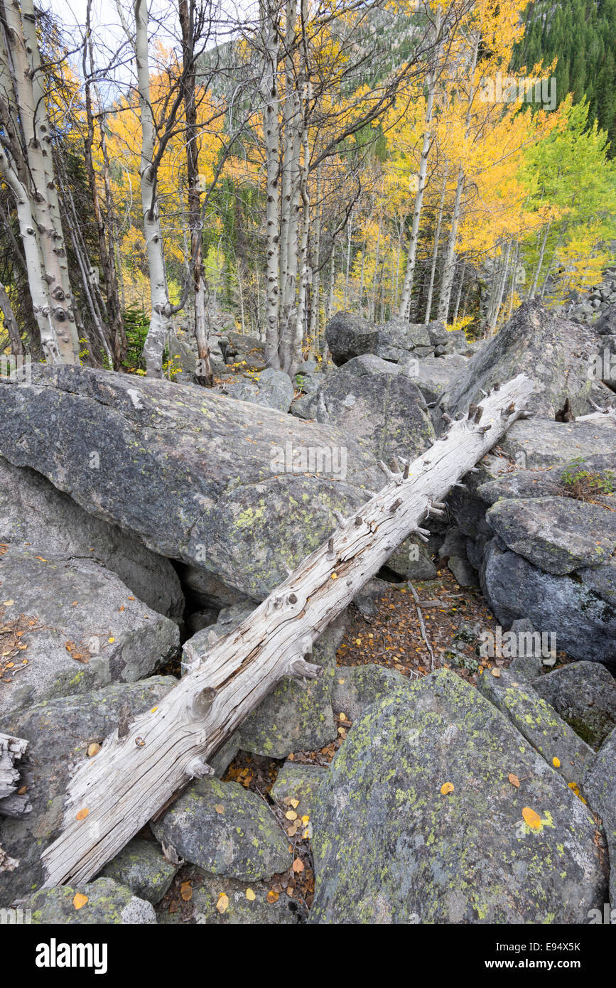 Talus slope hi-res stock photography and images - Alamy