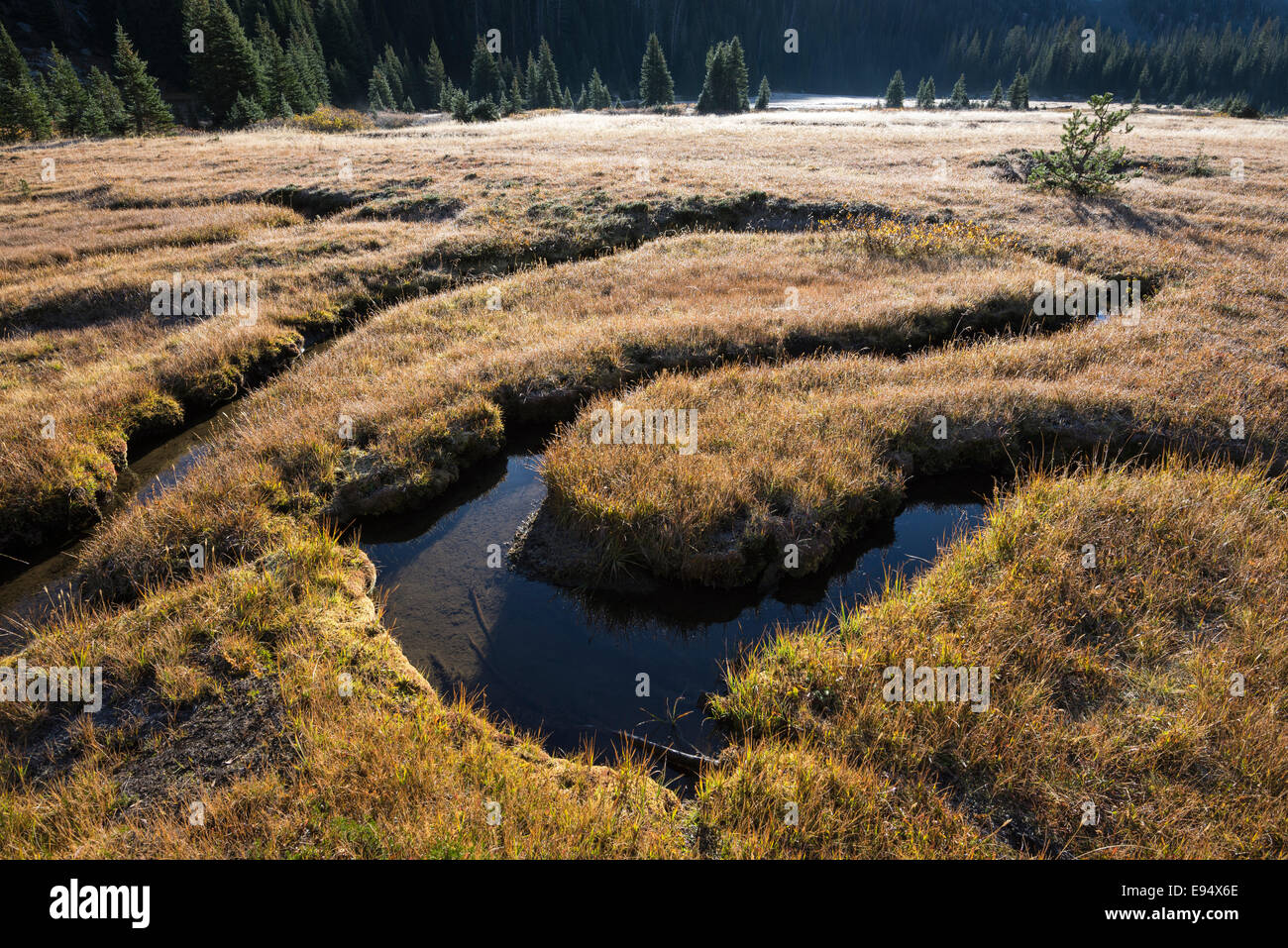 Stream in meadow hi-res stock photography and images - Alamy
