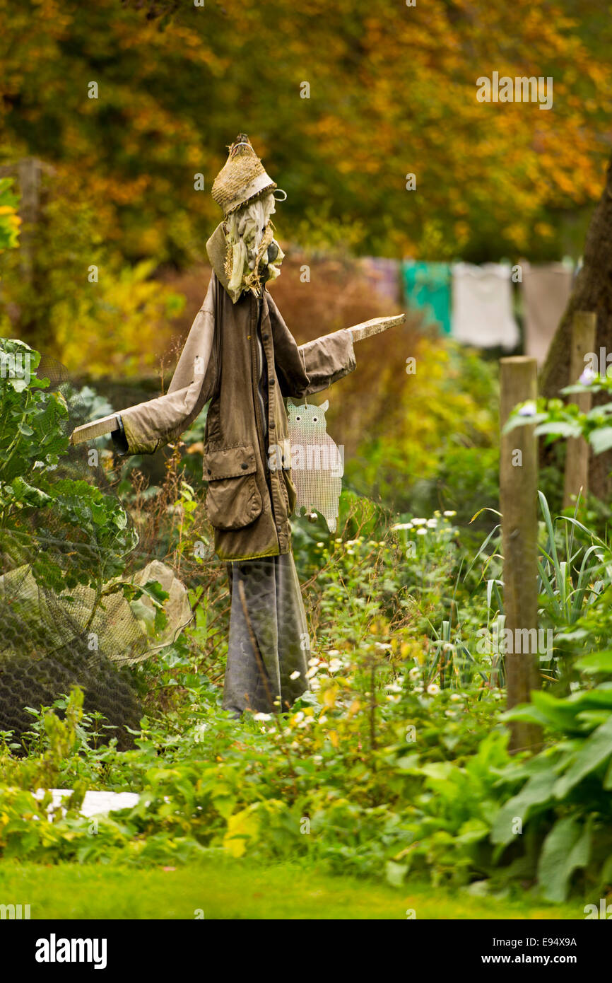 Scare crow hi-res stock photography and images - Alamy