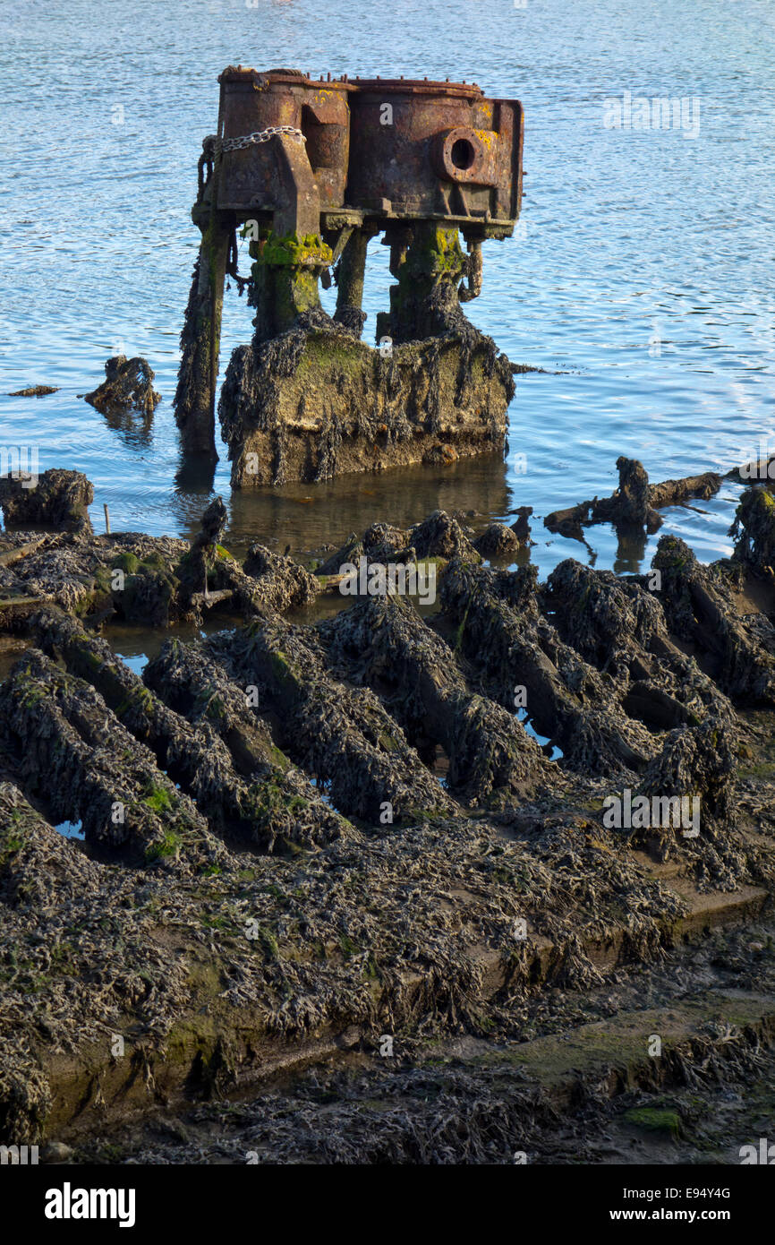 Old wooden ship wreck hi-res stock photography and images - Alamy
