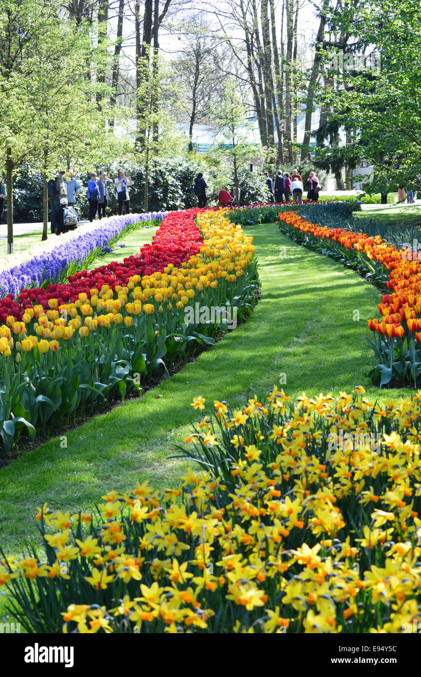 Flower bed displays hi-res stock photography and images - Alamy