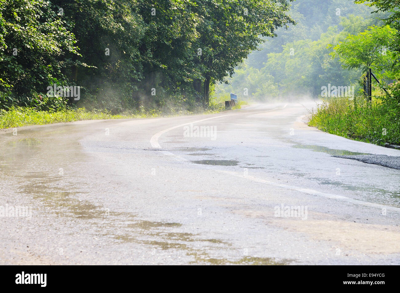 country side road in green forest Stock Photo - Alamy