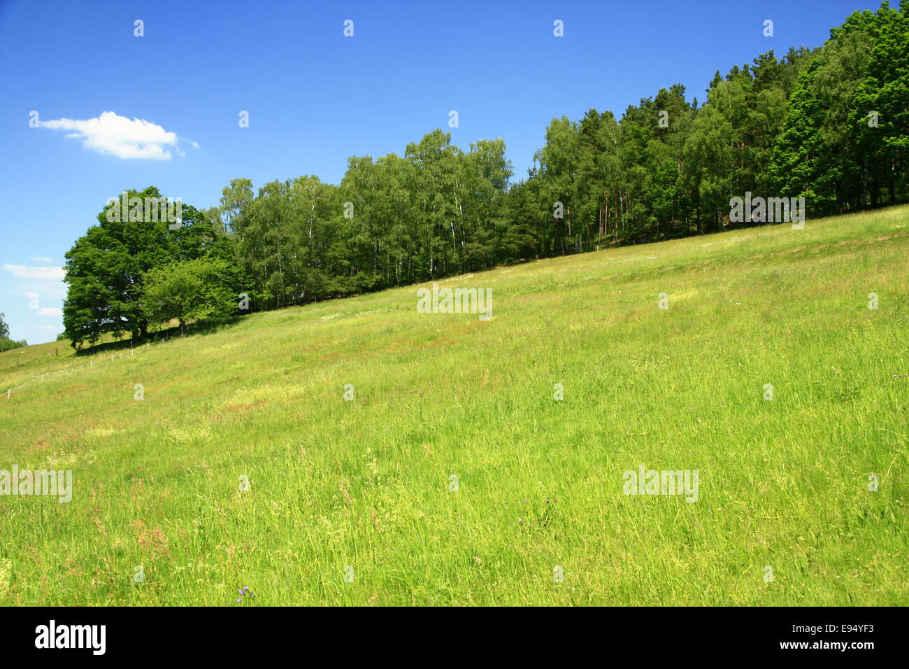 Natural landscape in Saxony Stock Photo - Alamy
