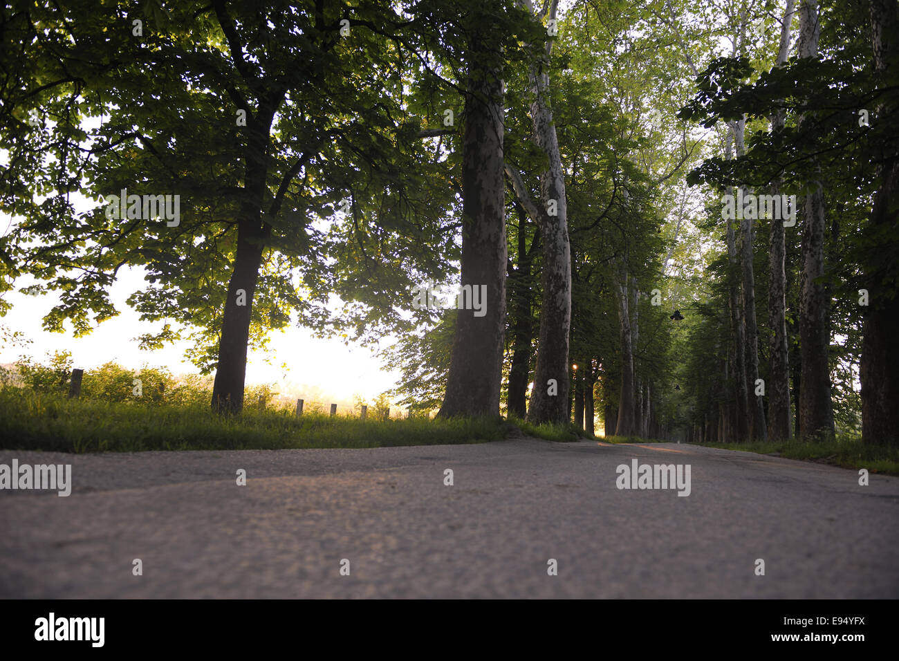 sunrise in beautiful alley Stock Photo - Alamy