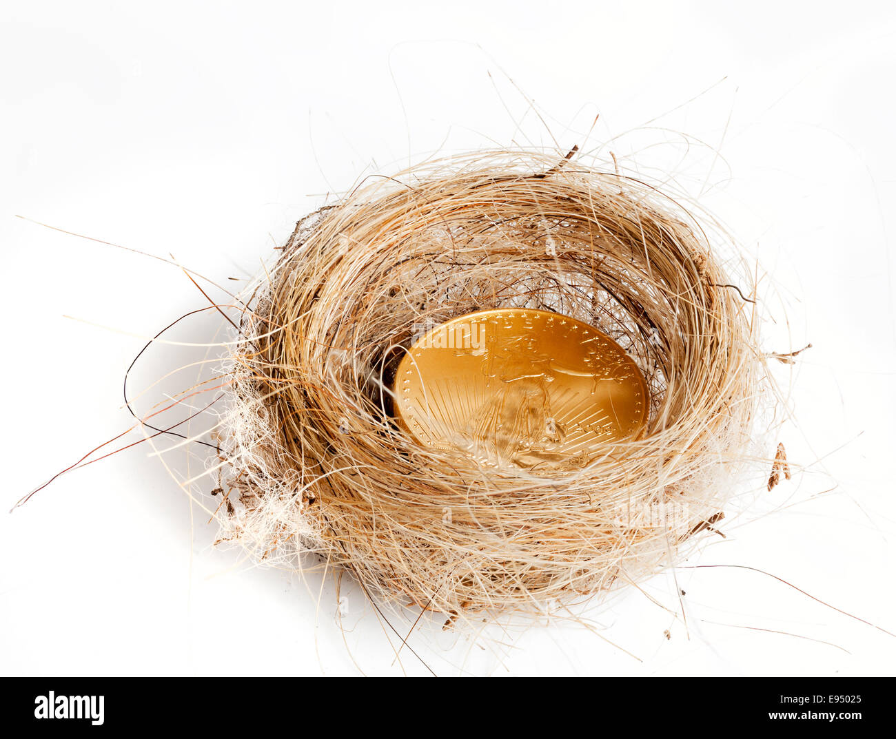 Gold coin closeup Cut Out Stock Images & Pictures - Alamy