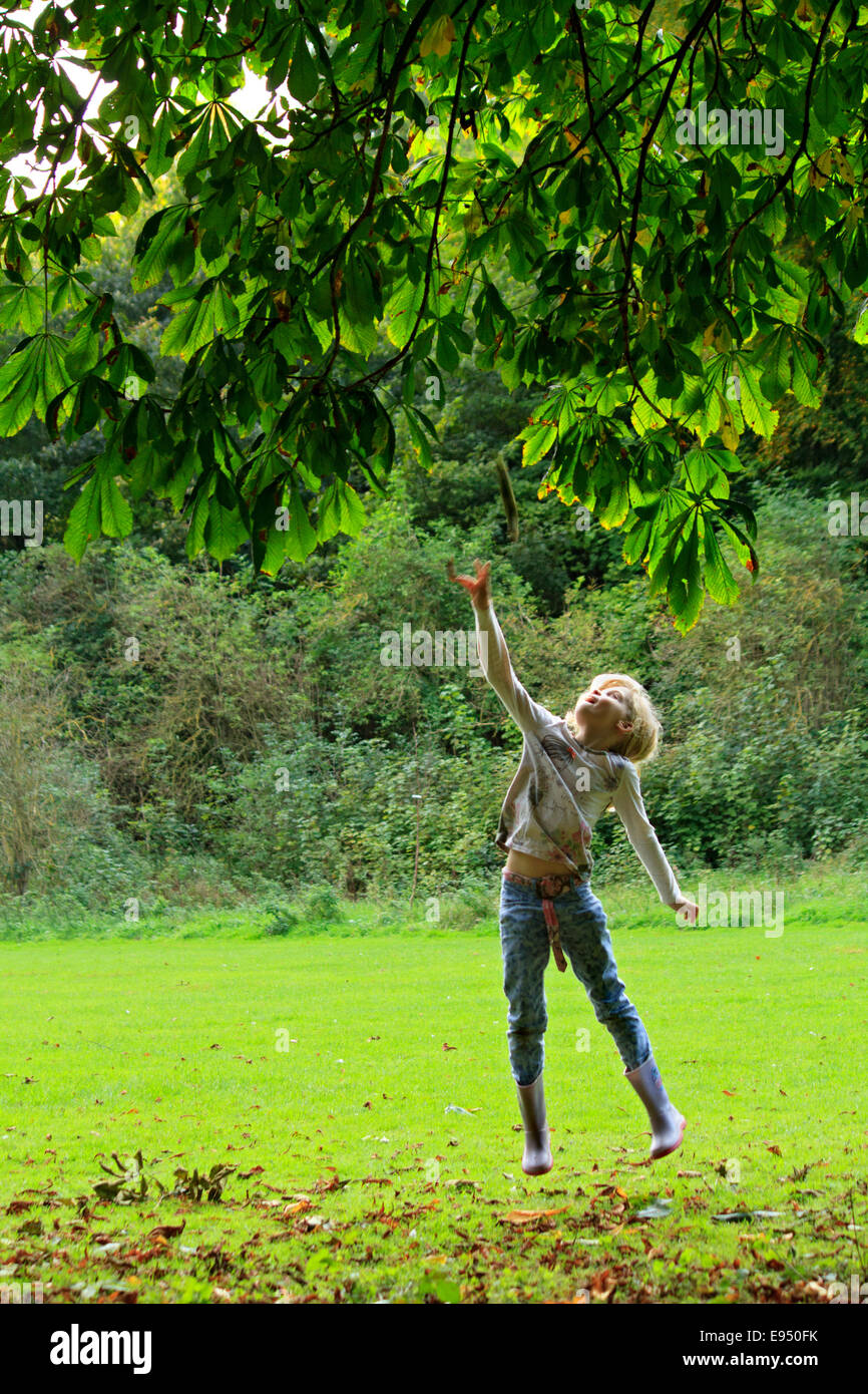 Little girl collecting conkers. Throwing a stick up into the horse ...