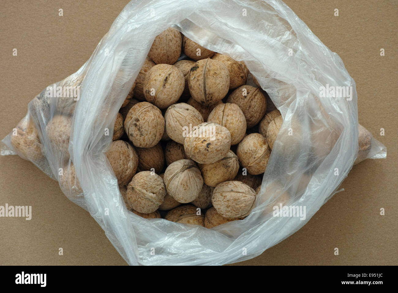 Bag Of Walnuts