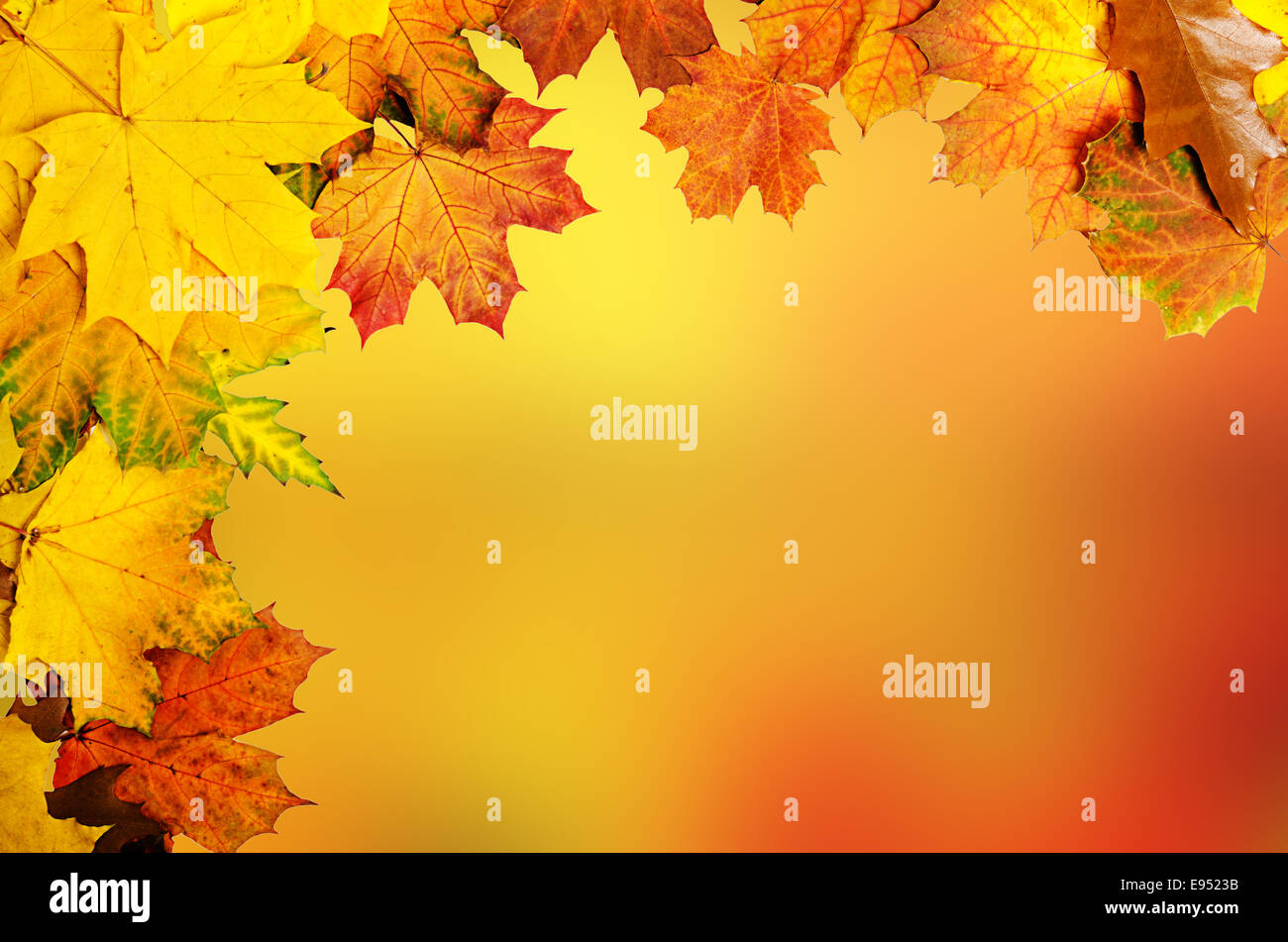 Autumn leaves frame Stock Photo - Alamy