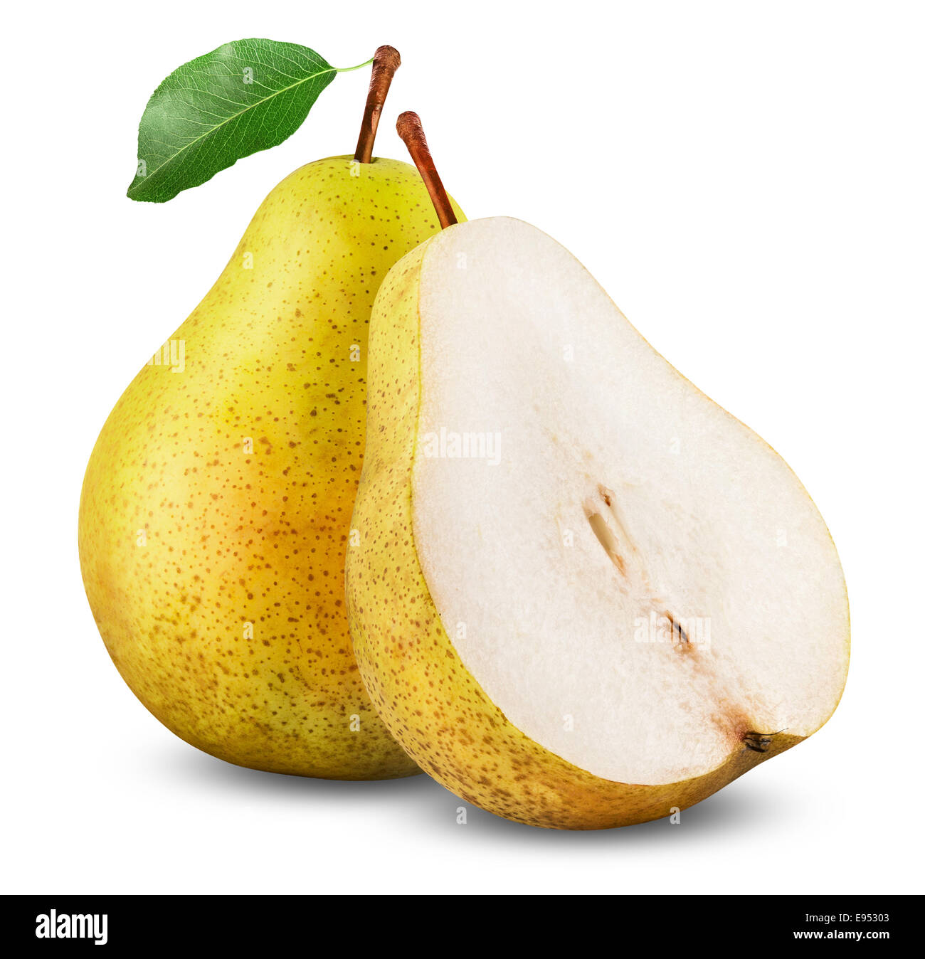 Vertical cross section leaf hi-res stock photography and images - Alamy