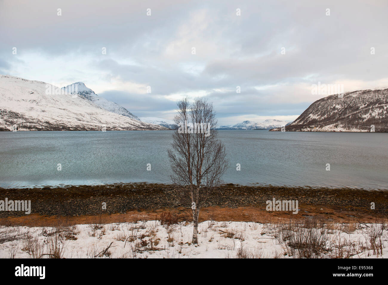 Landscape at Kaldfjorden, Troms, Norway Stock Photo - Alamy