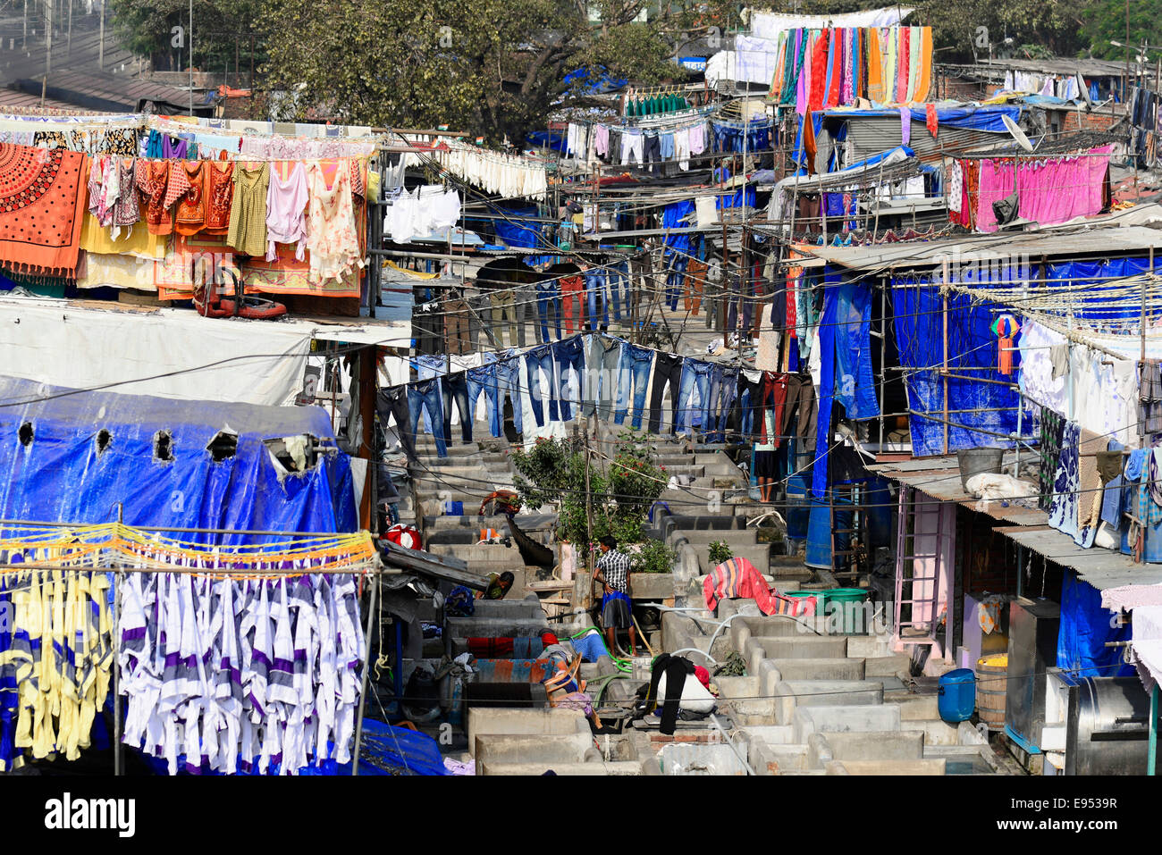 Laundry drying, Dhobi Ghat washing quarter, Mumbai, Maharashtra, India ...