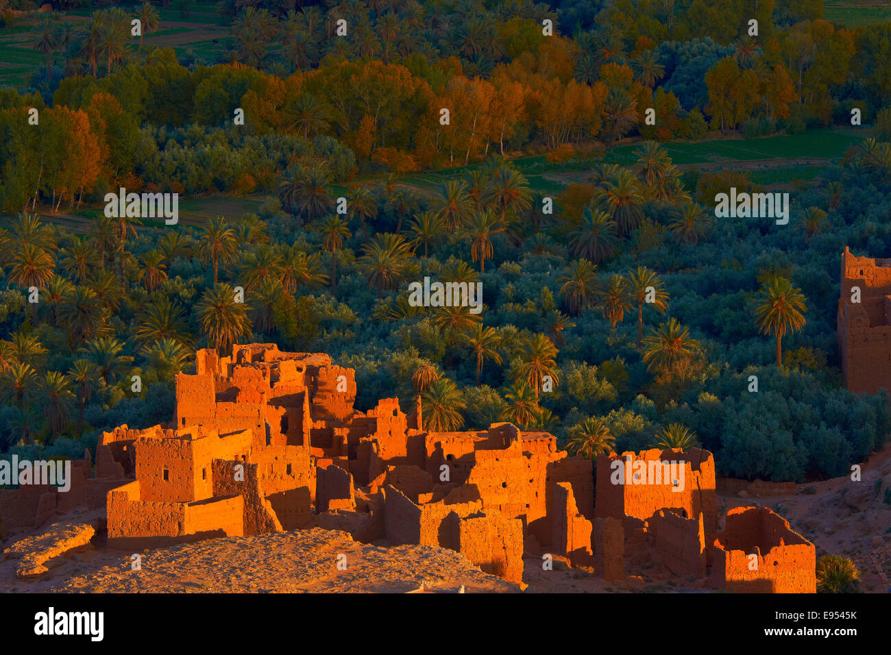 Morocco todra valley oasis hi-res stock photography and images - Alamy
