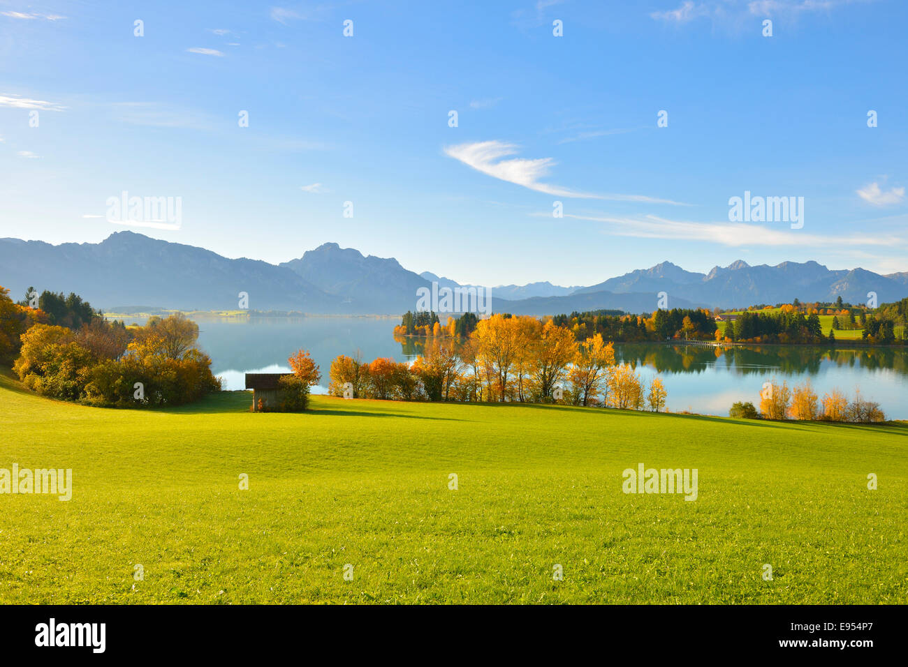 Autumn morning on Forggensee at Rosshaupten, Ostallgaeu, Allgaeu ...