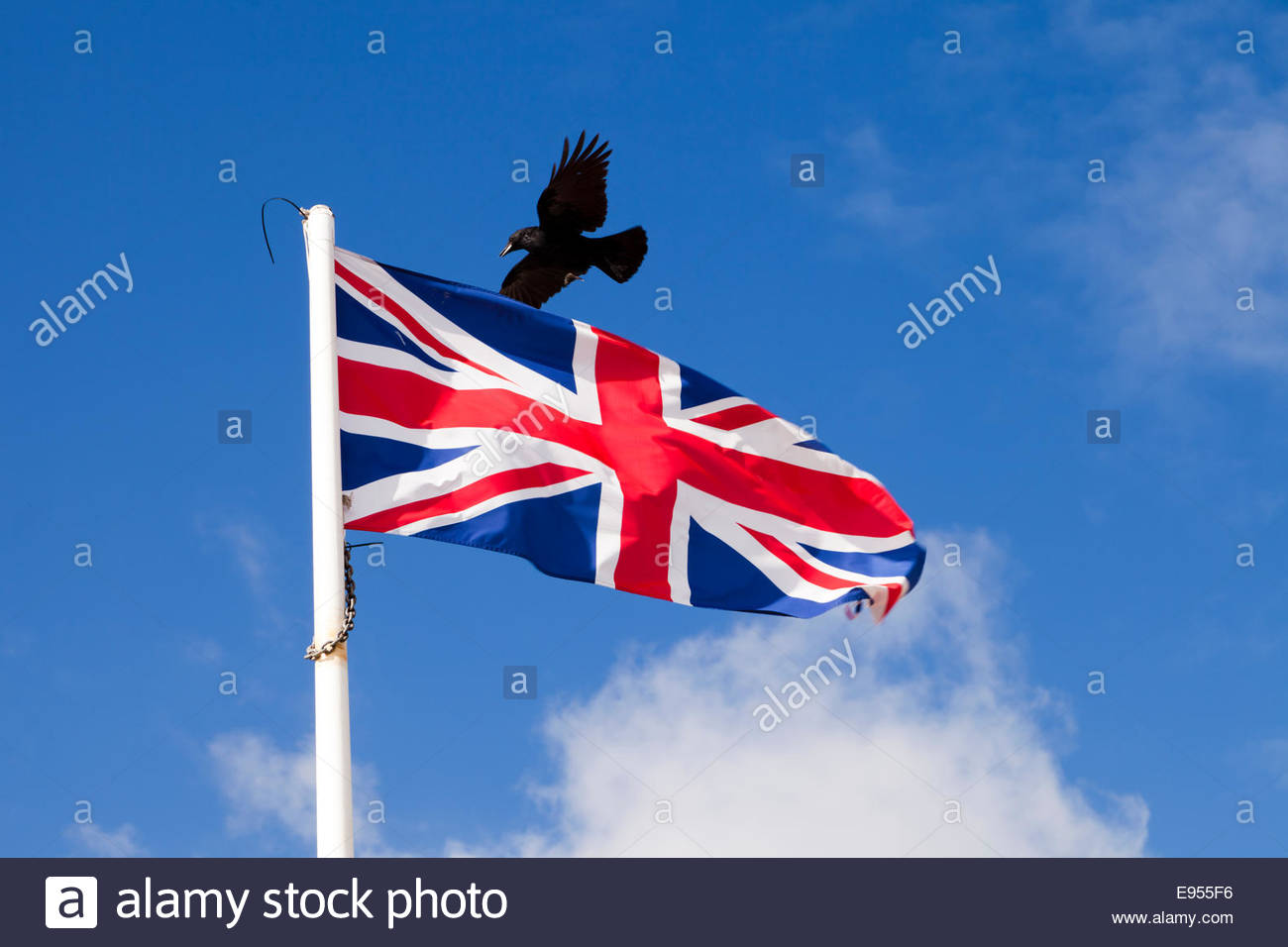 Crow Nation Stock Photos & Crow Nation Stock Images - Alamy