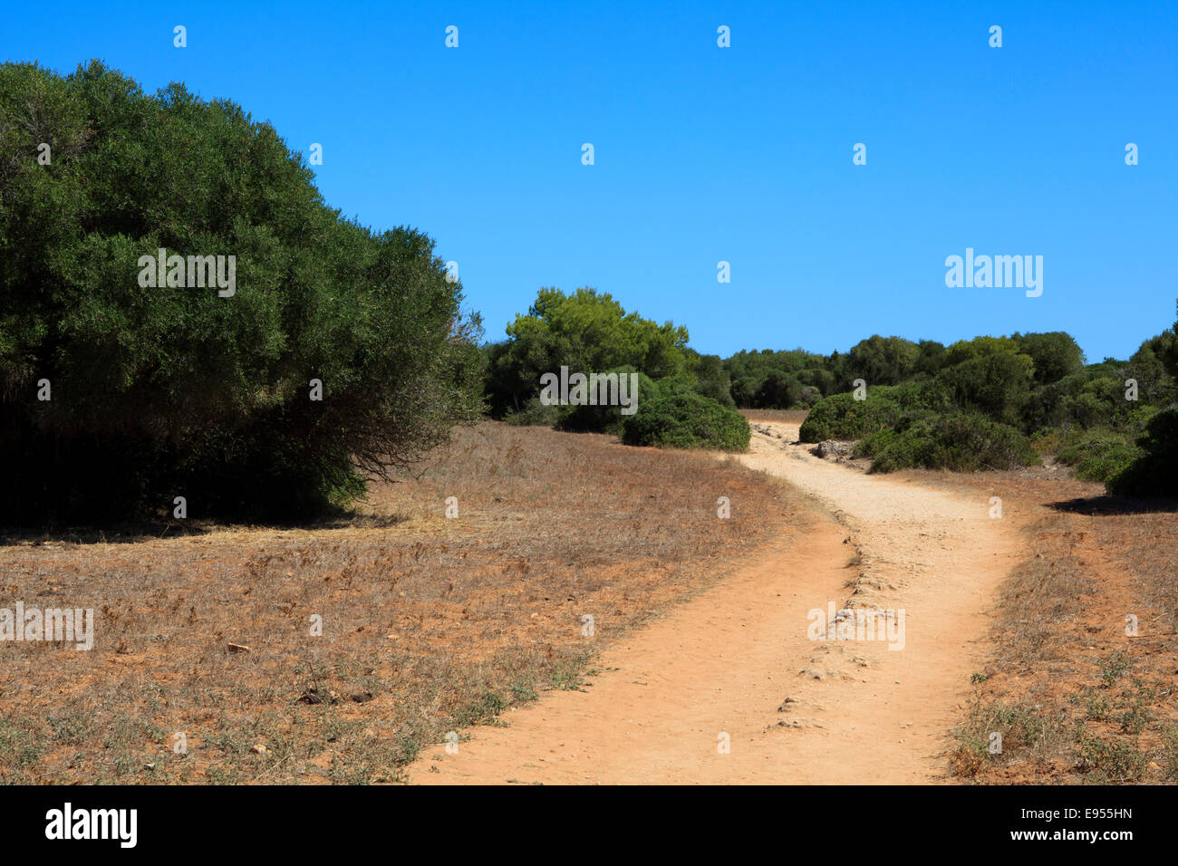 A typical country road, Menorca, Balearic Islands, Spain Stock Photo ...