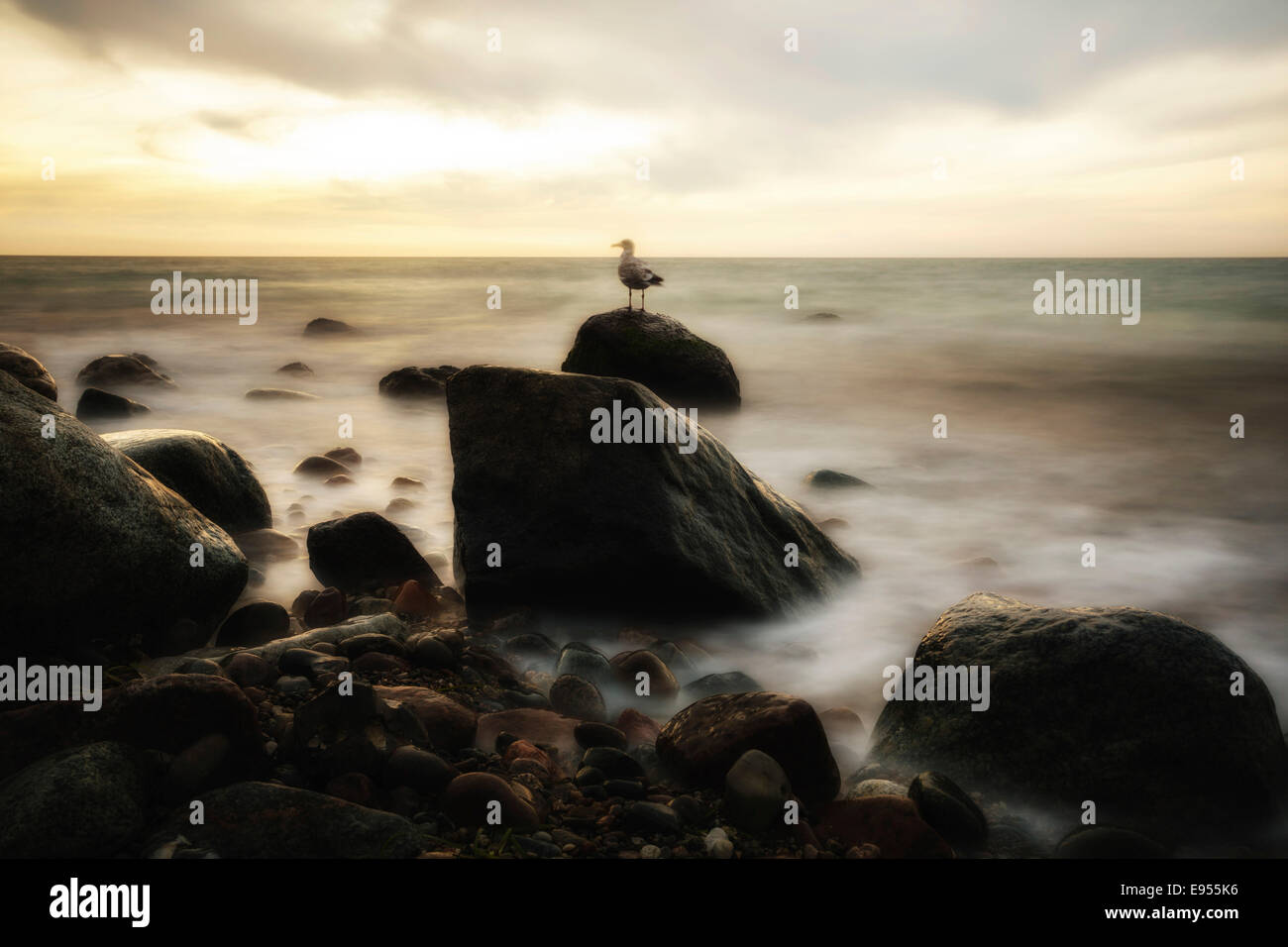 Stretch of rocks hi-res stock photography and images - Alamy