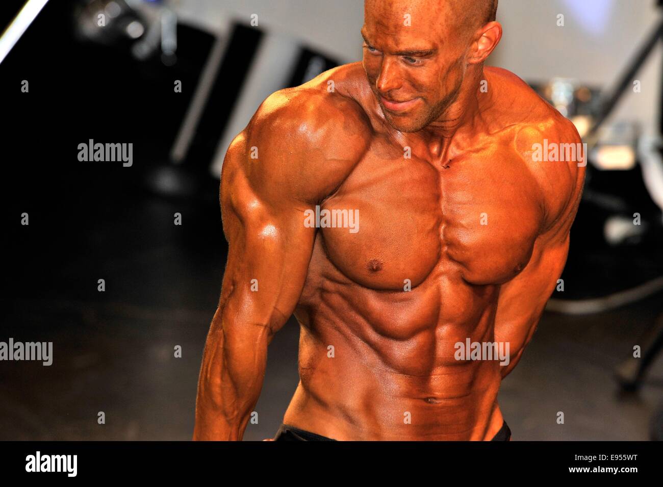 Roosendahl, The Netherlands. 19th Oct, 2014. Male bodybuilders showing ...