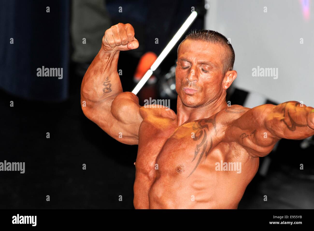 Roosendahl, The Netherlands. 19th Oct, 2014. Male bodybuilders showing ...