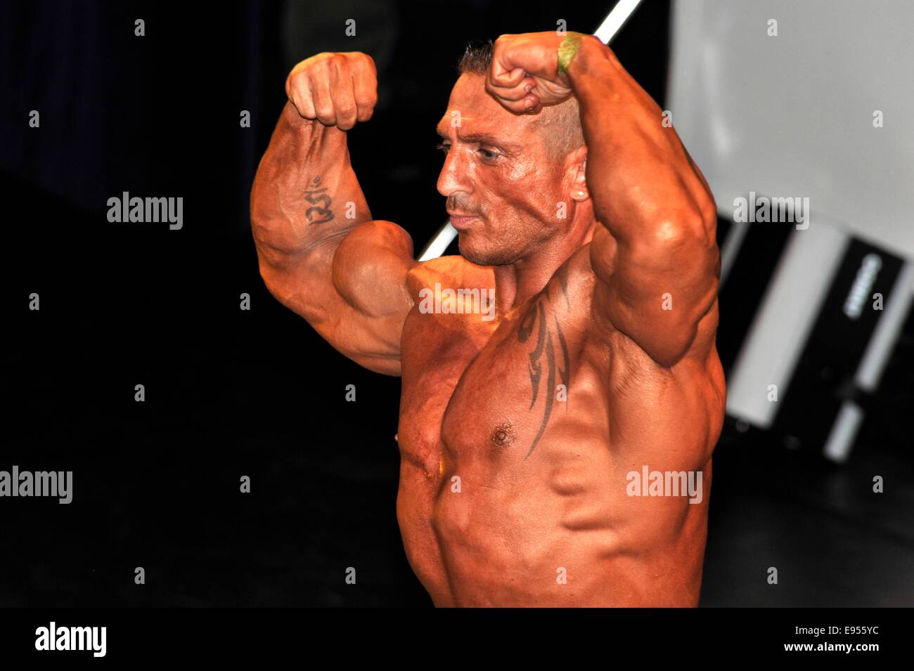 Roosendahl, The Netherlands. 19th Oct, 2014. Male bodybuilders showing ...
