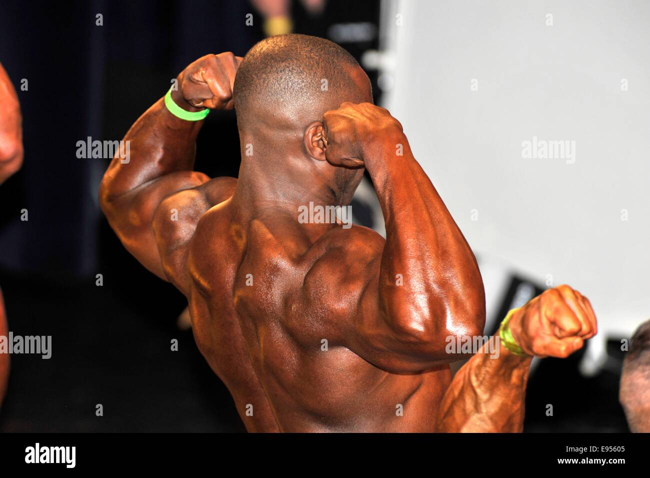 Roosendahl, The Netherlands. 19th Oct, 2014. Male bodybuilders showing ...