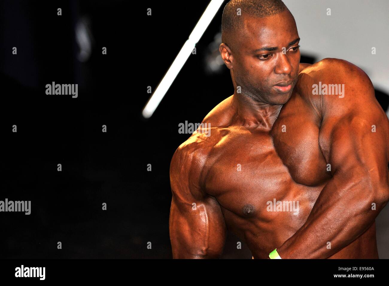 Roosendahl, The Netherlands. 19th Oct, 2014. Male bodybuilders showing ...