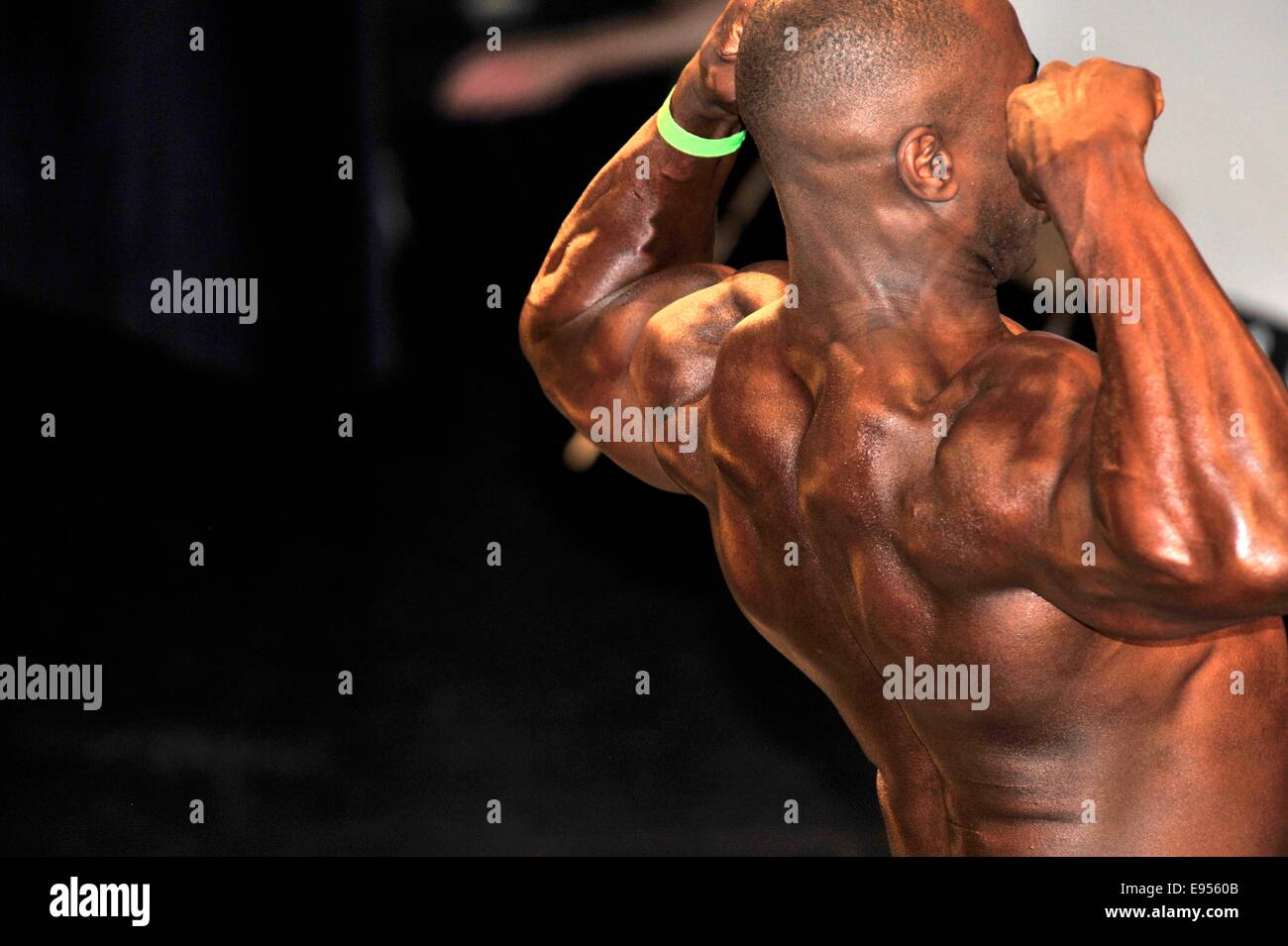 Roosendahl, The Netherlands. 19th Oct, 2014. Male bodybuilders showing ...