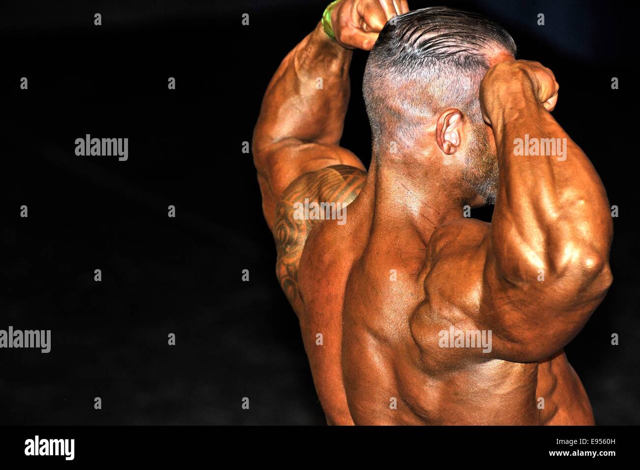 Roosendahl, The Netherlands. 19th Oct, 2014. Male bodybuilders showing ...