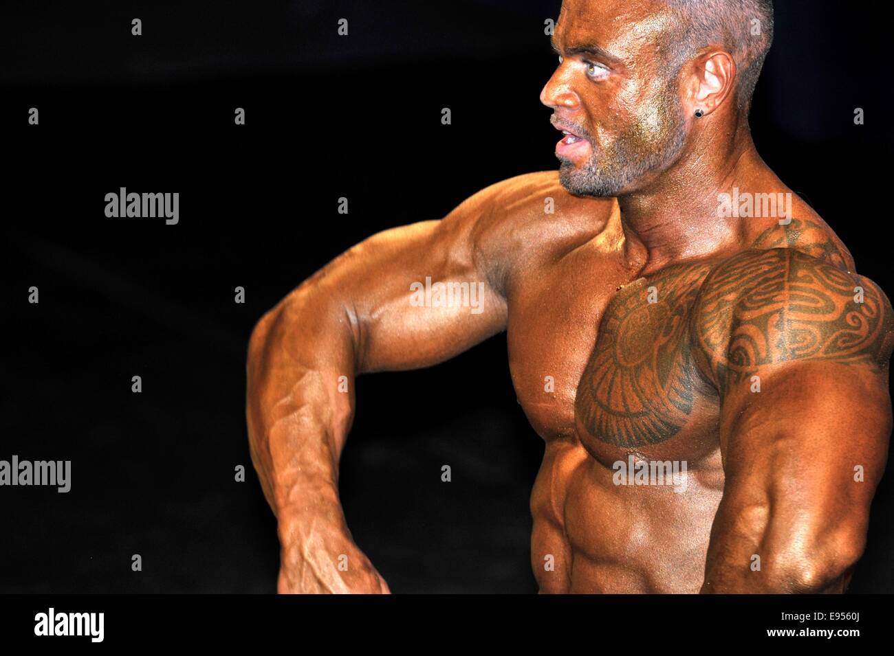 Roosendahl, The Netherlands. 19th Oct, 2014. Male bodybuilders showing ...