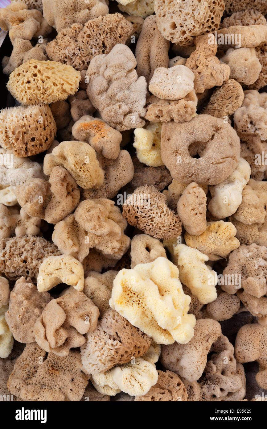 Close up natural sponges hi-res stock photography and images - Alamy