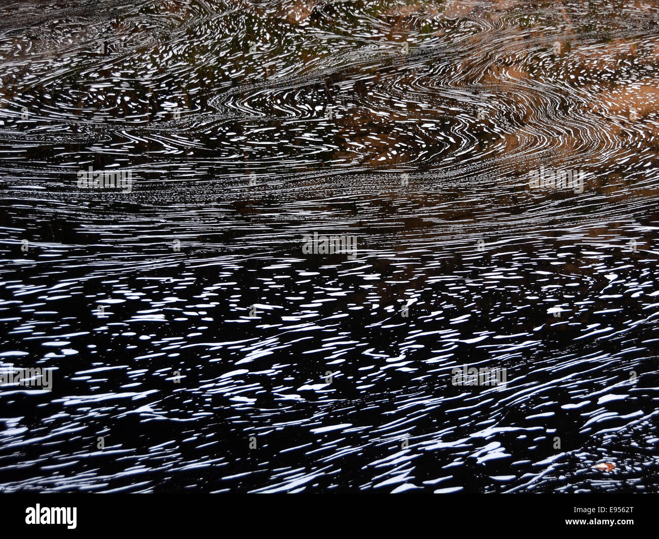 Typical foam structures on a blackwater river, Chapada Diamantina ...