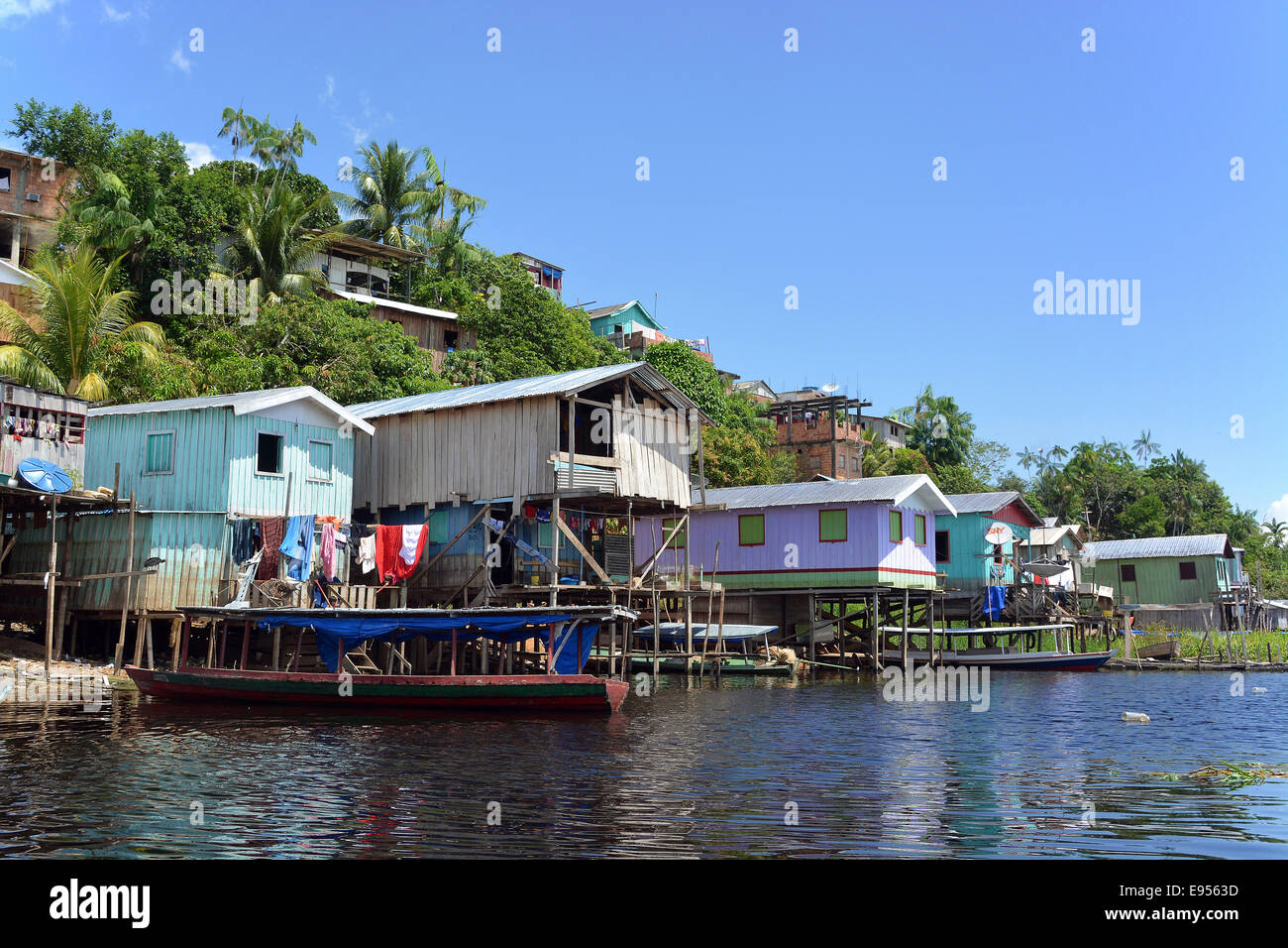 Amazonia amazonas hi-res stock photography and images - Alamy