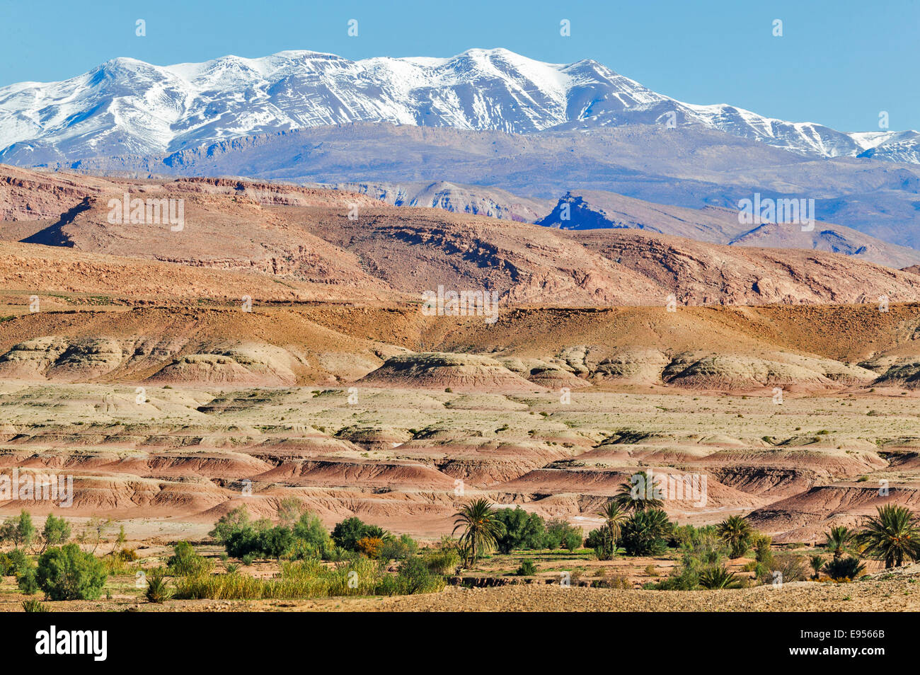 ATLAS MOUNTAINS OF MOROCCO COVERED IN SNOW WITH AN OASIS OF PALM TREES ...