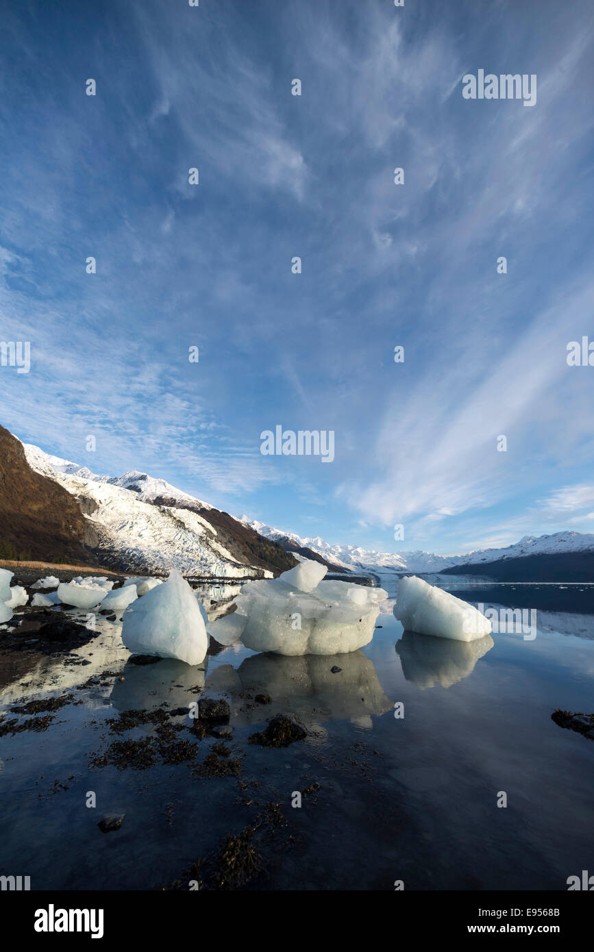 Ice, College Fjord, Prince William Sound, Alaska Stock Photo - Alamy