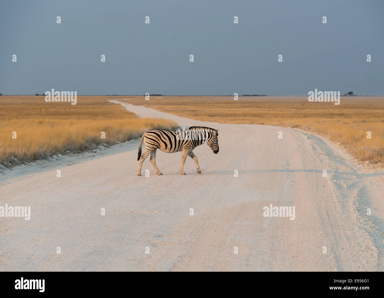 Zebra crossing hi-res stock photography and images - Alamy