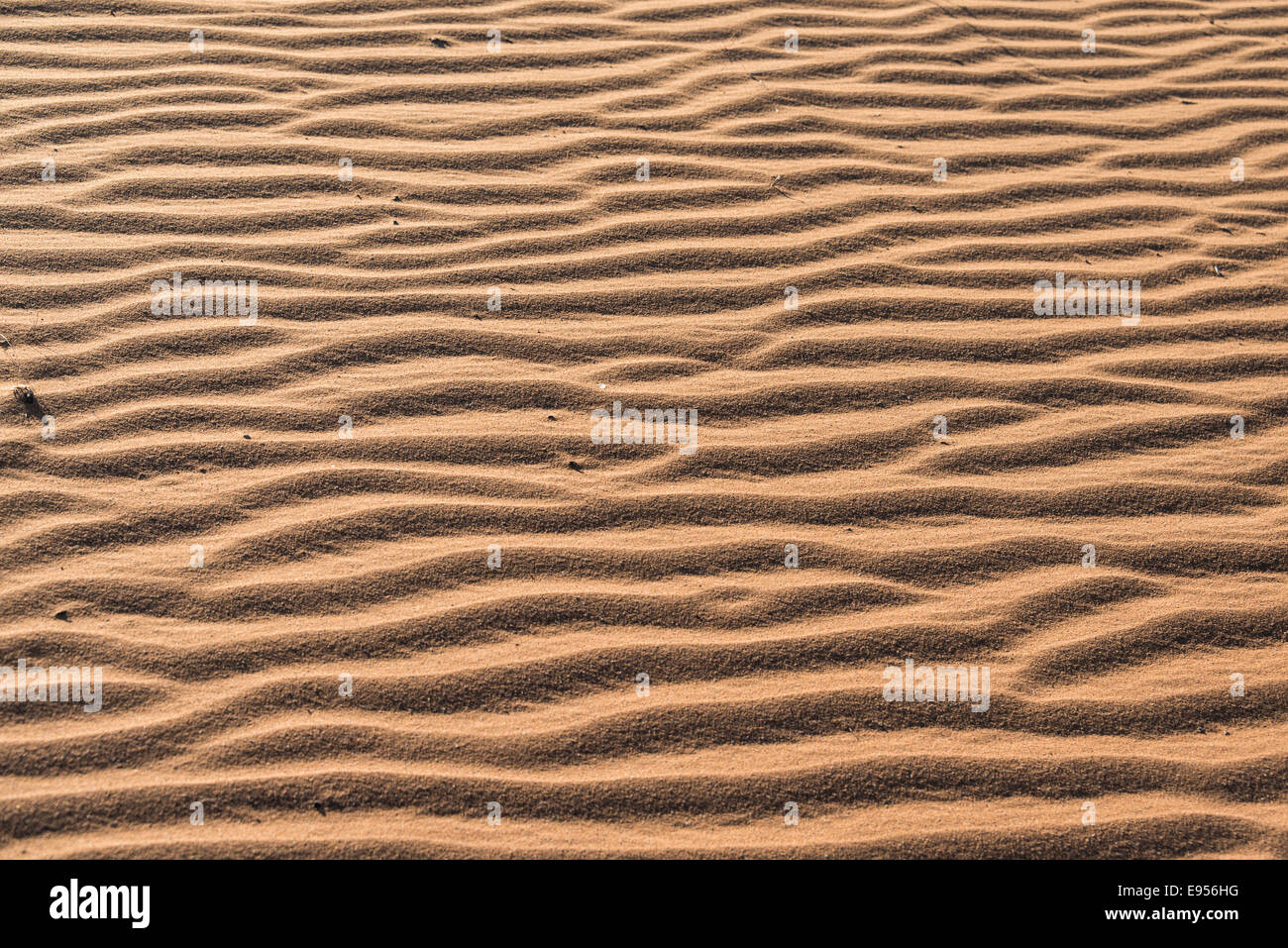 Wave pattern in the sand, Sossusvlei, Namib Desert, Namibia Stock Photo ...