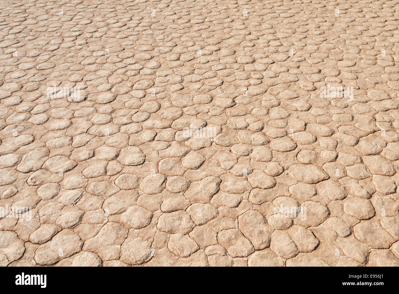Cracked sandy desert ground hi-res stock photography and images - Alamy
