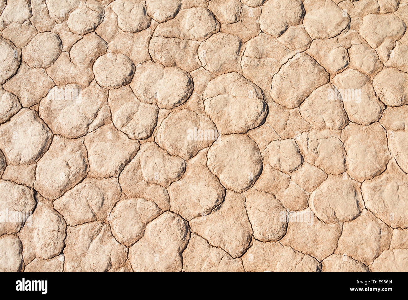 Ground dead hi-res stock photography and images - Alamy