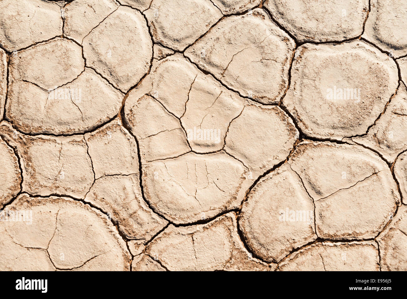 Dried sandy ground, Dead Pan, Sossusvlei, Namib Desert, Namibia Stock ...