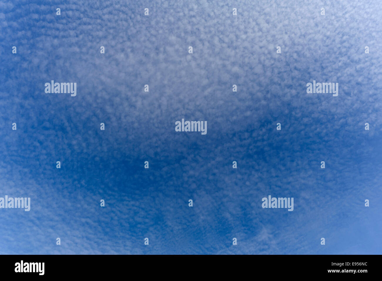 Small fluffy clouds, Cirrocumulus Stock Photo - Alamy