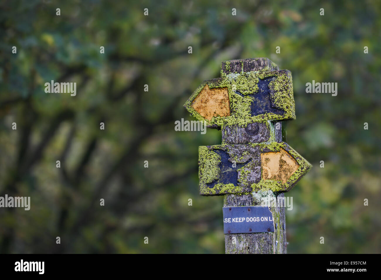 Witch on Flying Broomstick this way . Unusual Roadside Witchway ...