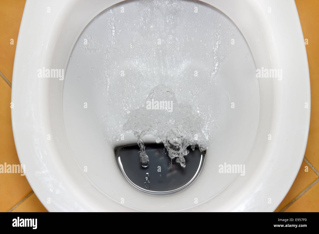 Flushing the toilet hi-res stock photography and images - Alamy