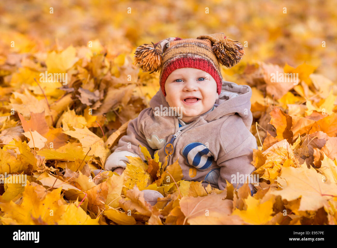 Cute baby in autumn leaves. First autumn Stock Photo - Alamy