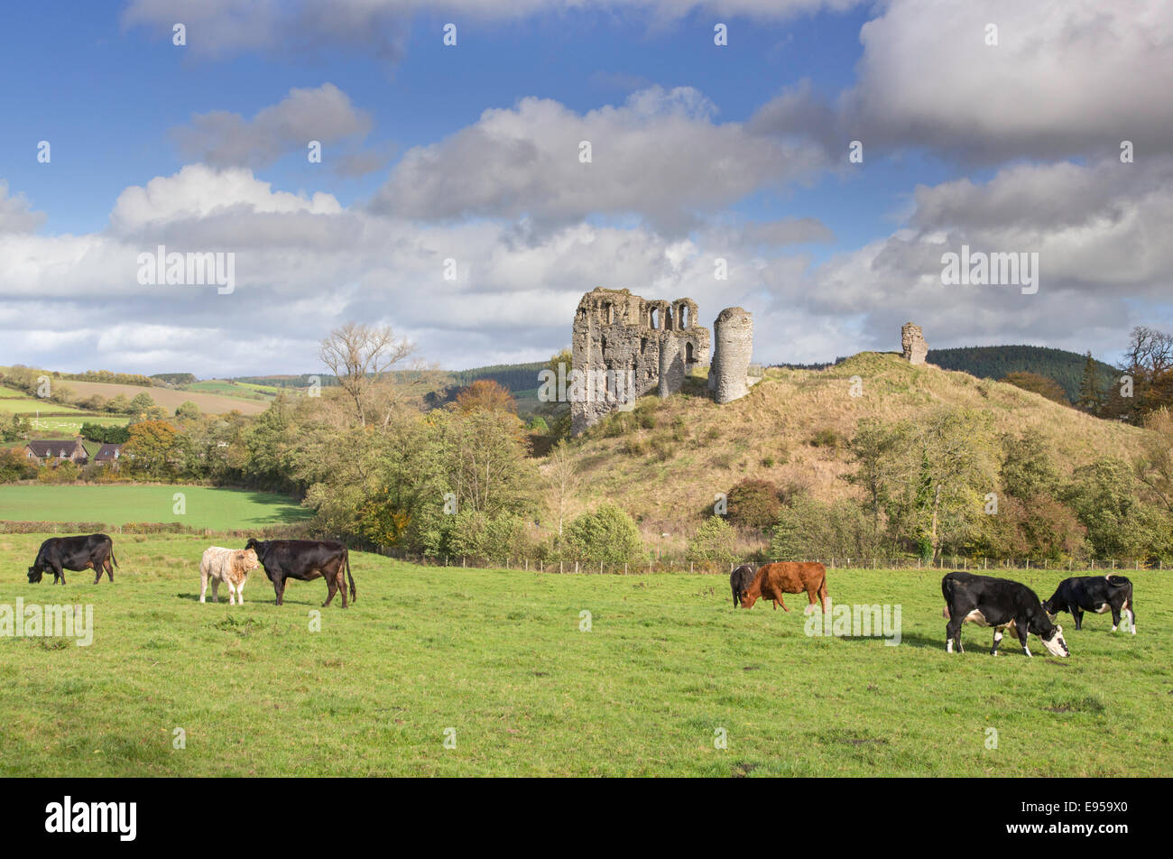 Clun castle hi-res stock photography and images - Alamy