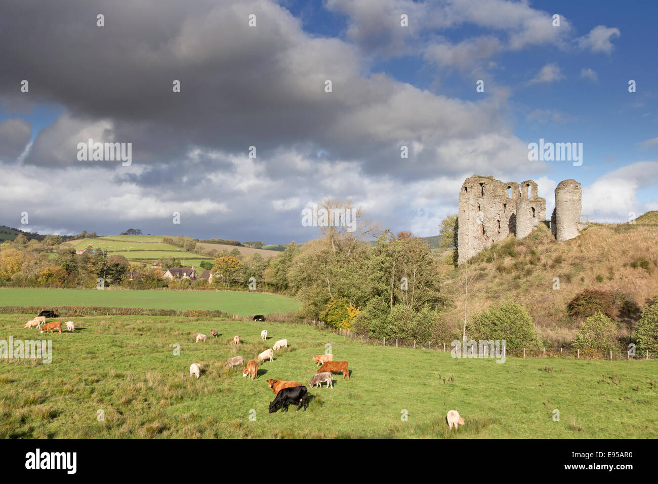Afternoon light over Clun Castle in the small rural town of Clun ...