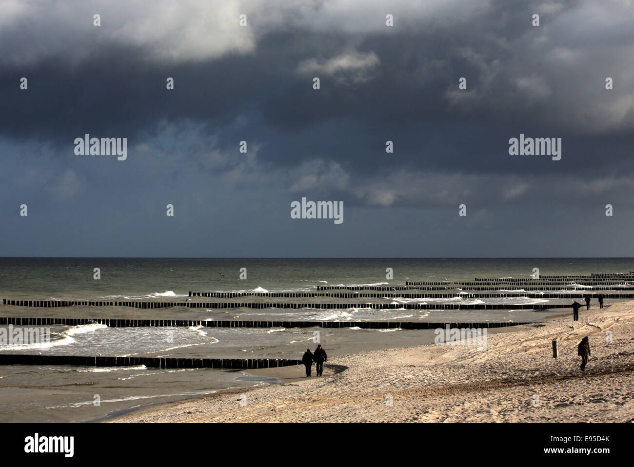 Groynes on the baltic sea beach in prerow hi-res stock photography and ...