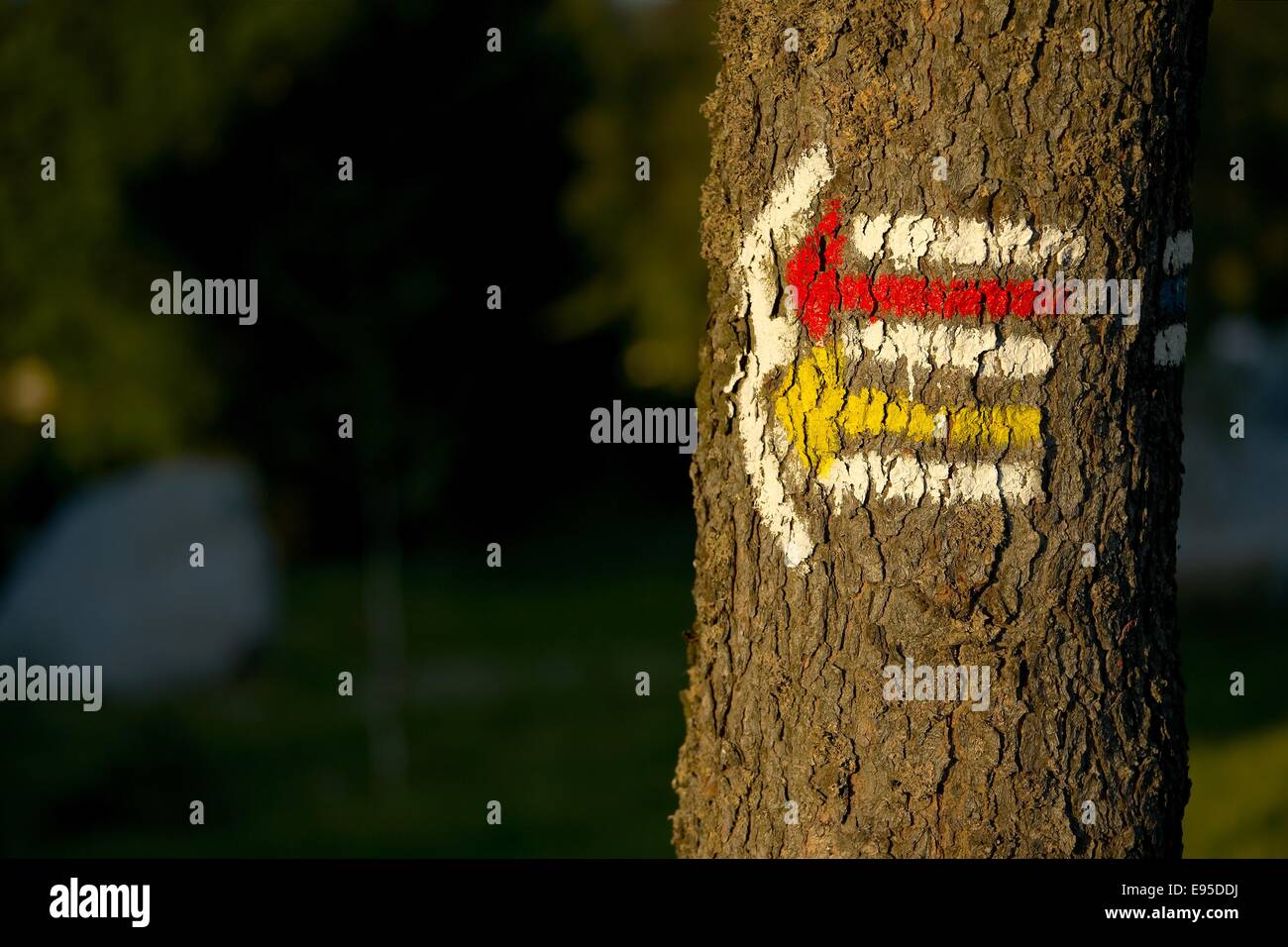 Sign forest nature trail hi-res stock photography and images - Alamy