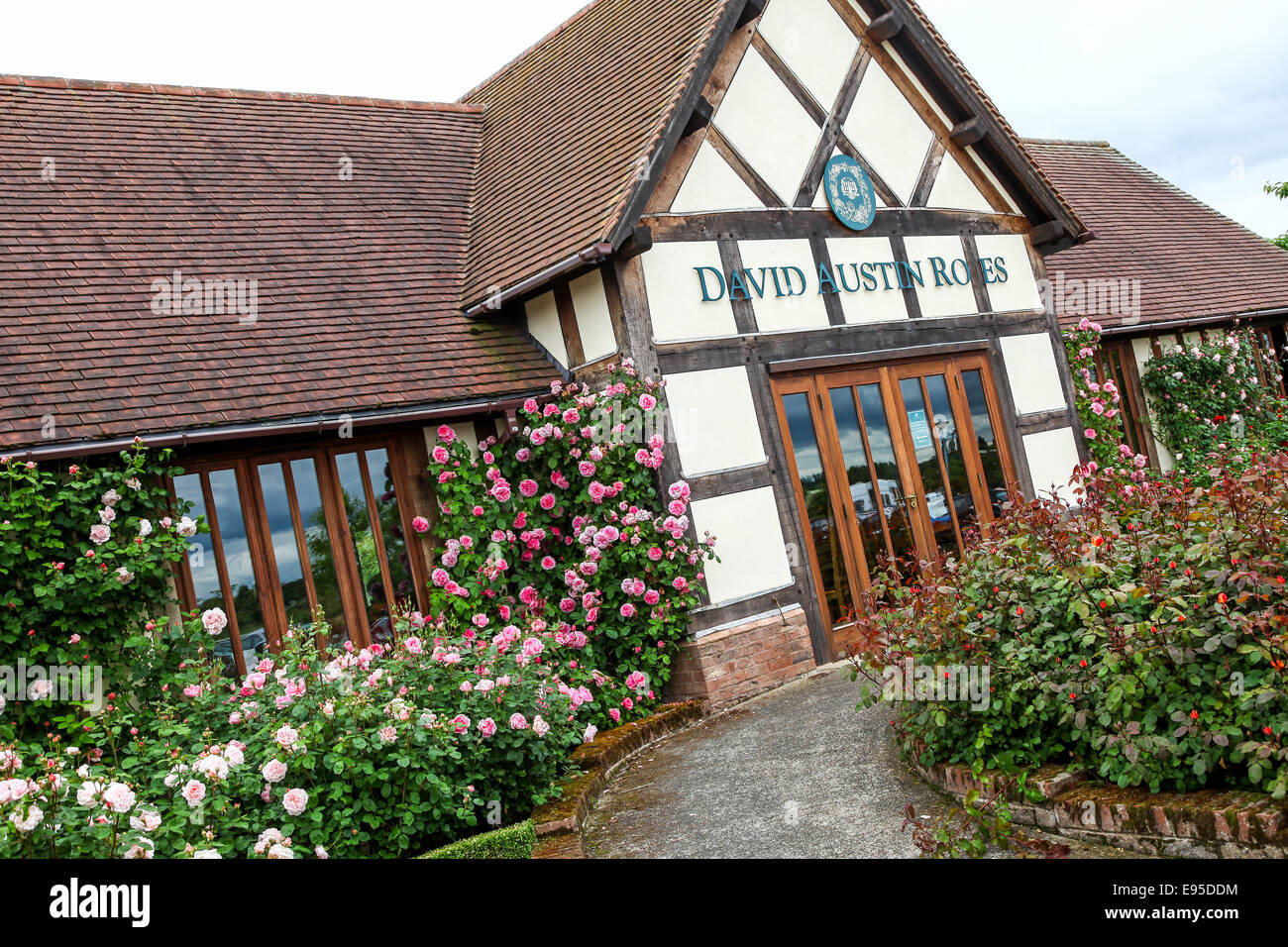 David austin rose gardens albrighton hi-res stock photography and ...